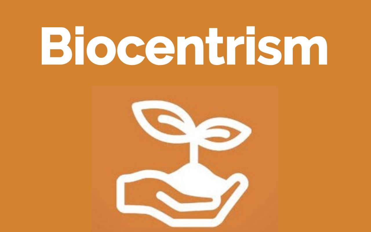 Biocentrism Debunked: Unveiling the Myths and Misconceptions - Tech ...